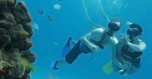 Snuba Diving Excursion - Extreme Snorkeling | Cozumel Mexico