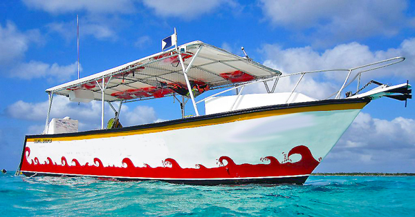 Palancar Reef Snorkeling Tour Cozumel & Columbia Reef