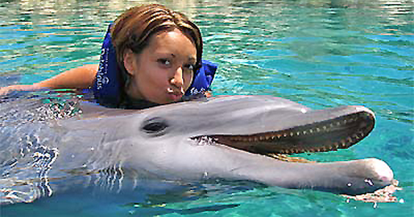 Dolphin Swim & Ride - Mayan Riviera, Mexico