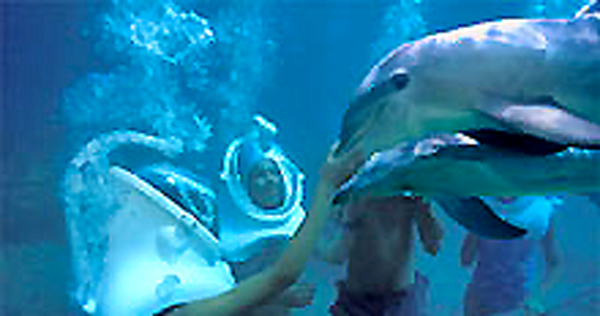 Delphinus Trek - Xel Ha Dolphin Swim - Riviera Maya