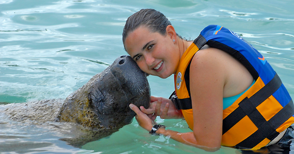 Sea Lions, Manatees, and Dolphins in Playa del Carmen